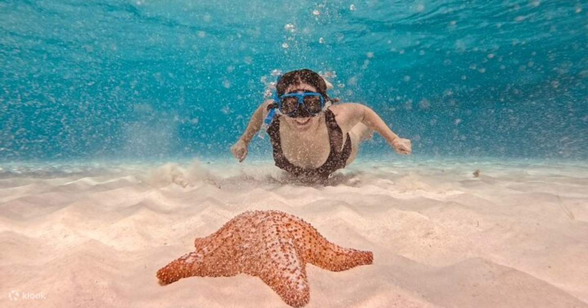 Cozumel Snorkeling Boat Tour ke Palancar & El Cielo - Klook Indonesia